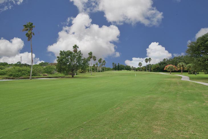 Serenoa Lakes | Candy Swick's Sarasota Real Estate